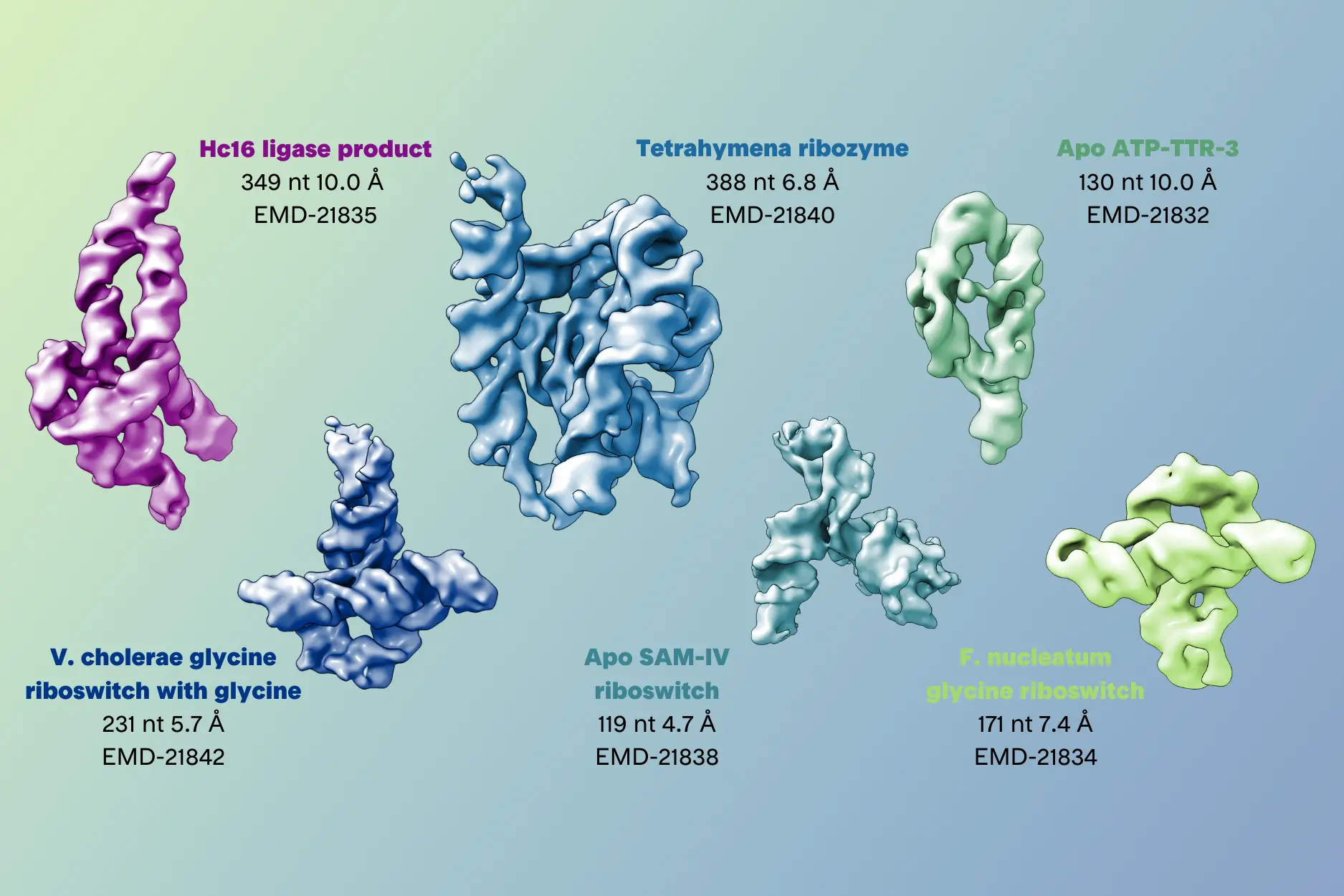 Unlocking the Secrets of RNA: Protein-Free Structure Determination w/ Cryo-EM